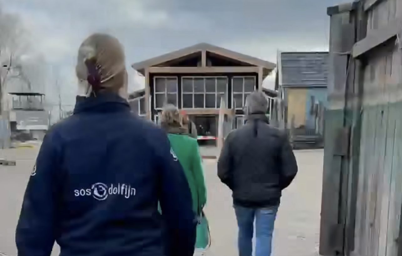 SOS Dolfijn bereikbaar via nieuwe ingang · Dierenpark Hoenderdaell